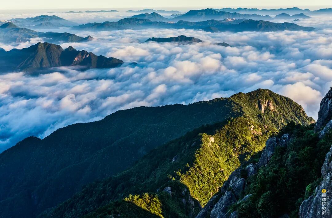 Zhejiang Chronicles: The Legend of Rui'an