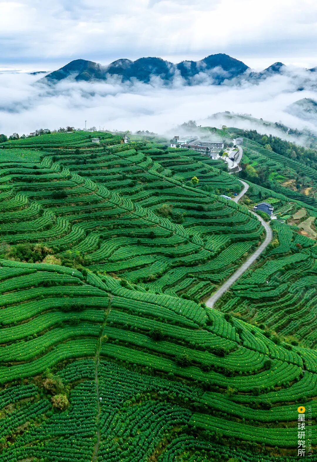 Zhejiang Chronicles: The Legend of Rui'an