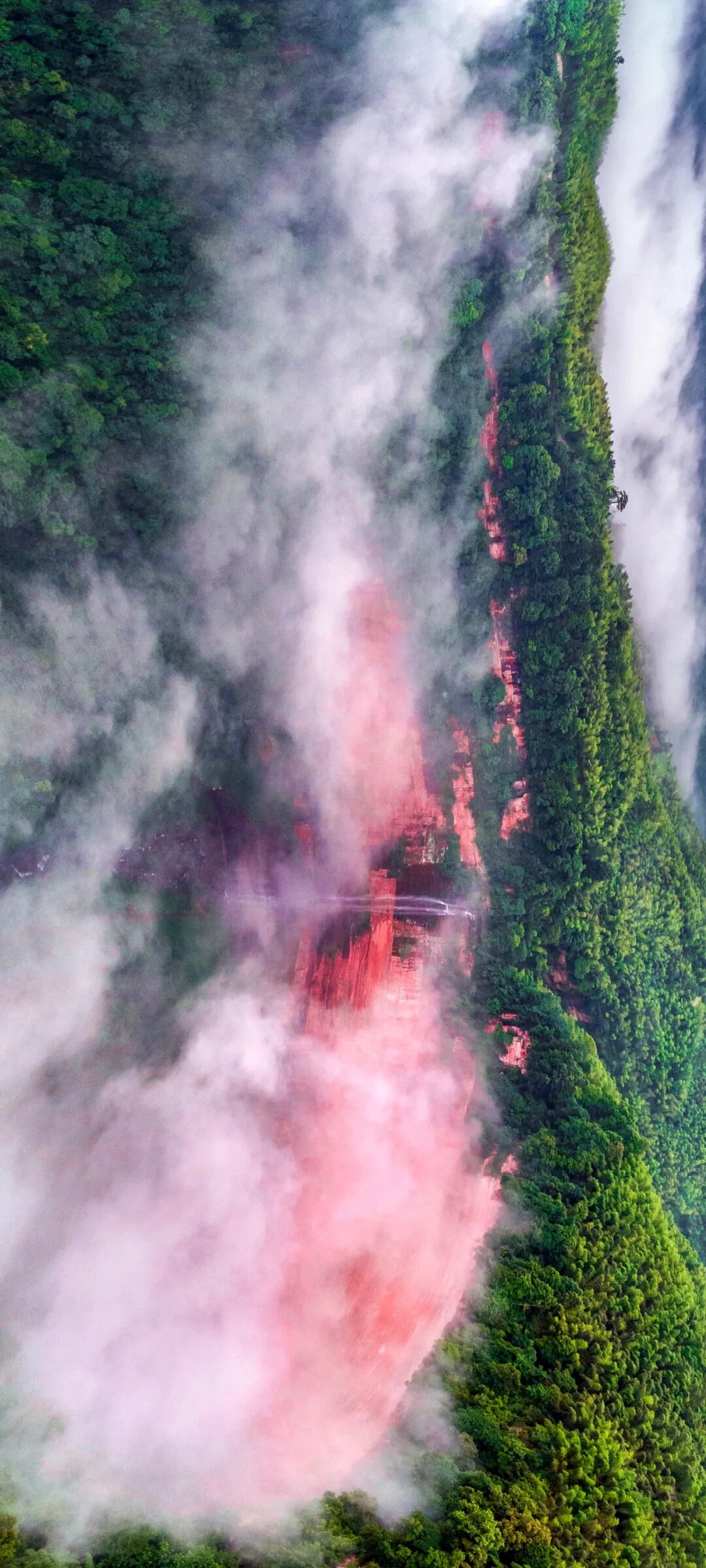 How Enchanting Is Spring in Guizhou? Home to the World's Largest Cherry ...