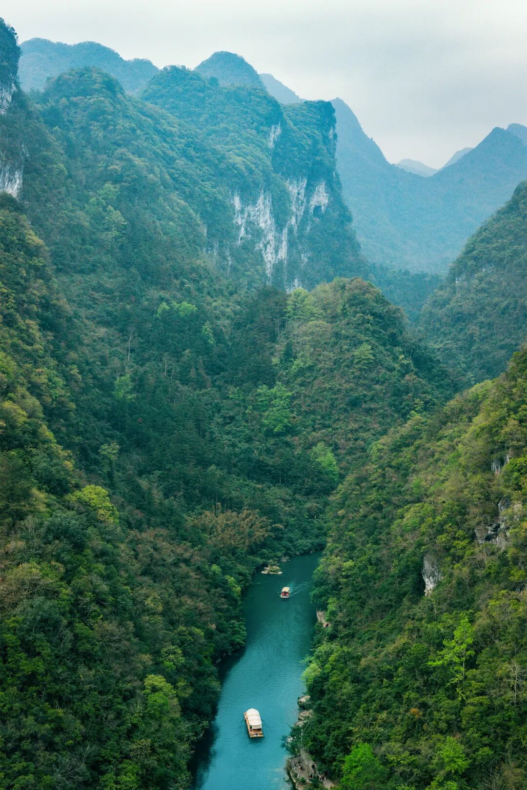 How Enchanting Is Spring in Guizhou? Home to the World's Largest Cherry ...