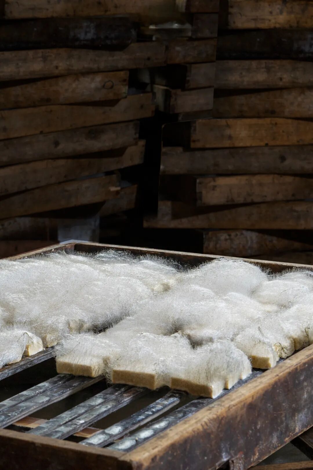 Why Is This "Moldy" Dish China's Most Addictive Comfort Food?