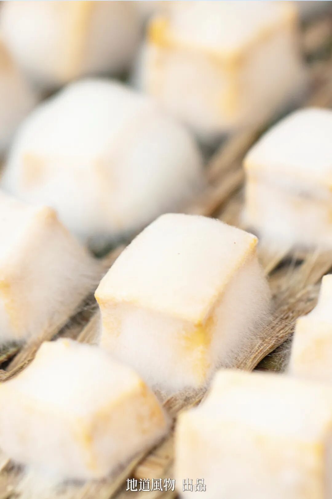 Why Is This "Moldy" Dish China's Most Addictive Comfort Food?